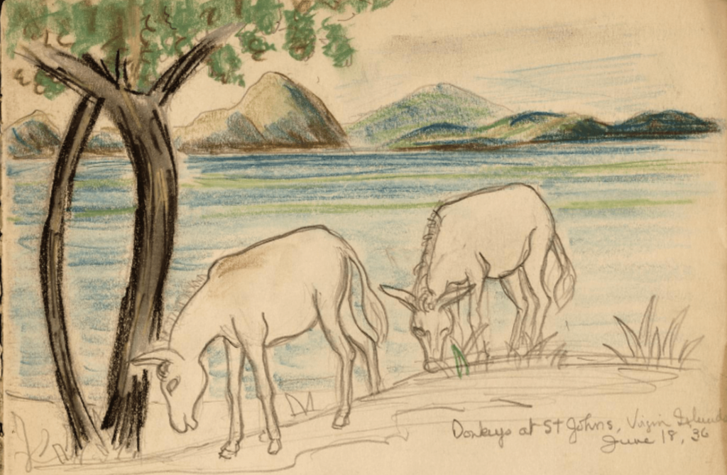 Beautiful Sketches Found by Artist, Margaret Casey Gates ~ 1936 - 🌺 ...