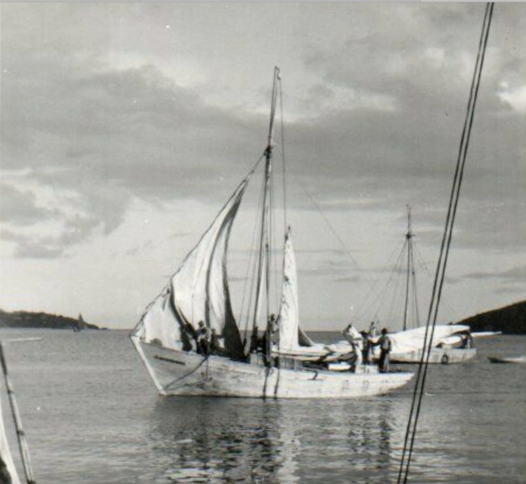5 Distinctive Features of a Tortola Sloop ~ 1957 - 🌺 Virgin Islands History